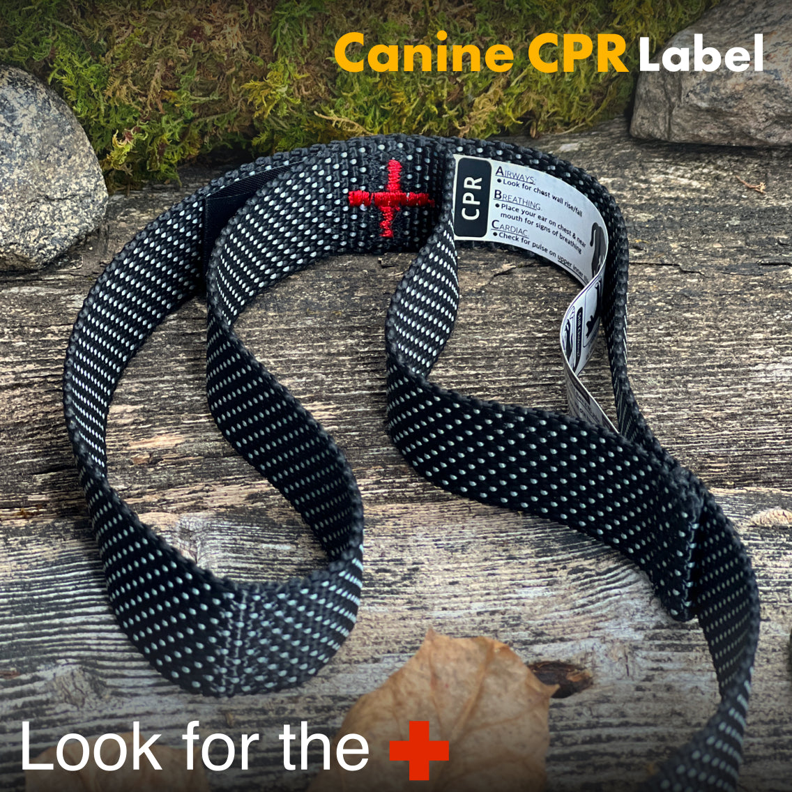 Classic CLIP Hands-free Adjustable 6ft Multi-Leash | Coco – Canine ...