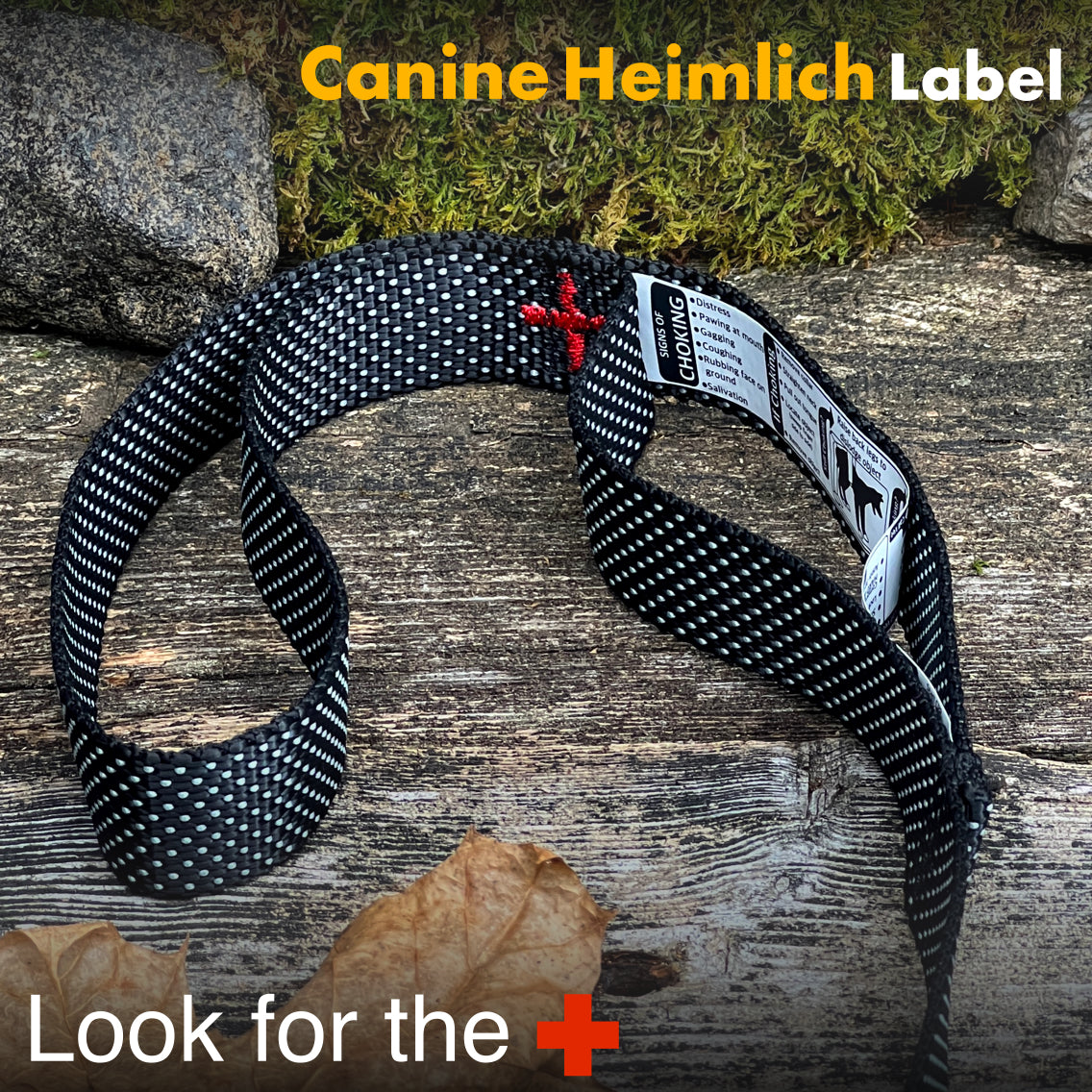 Connect Magnetic Hands-free Adjustable 14ft Multi-Leash | Coco – Canine ...